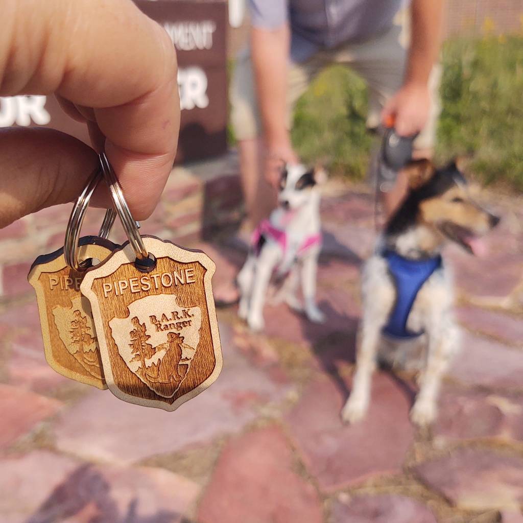 Bark Rangers – Camping dogs visit National Parks!